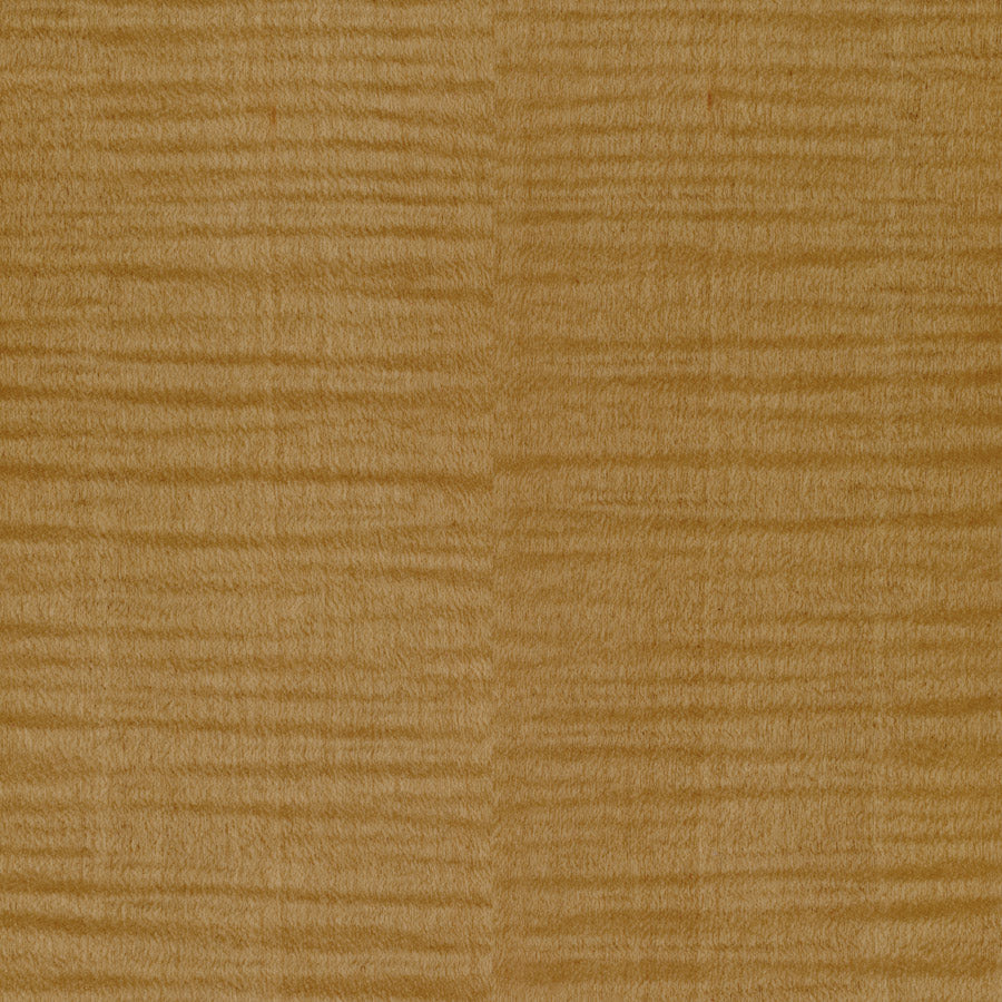 Wheat Sycamore – Decca Europe